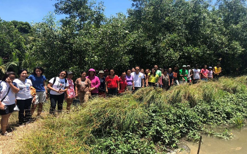 Sustainable mangrove rehabilitation: Lessons and insights from ...