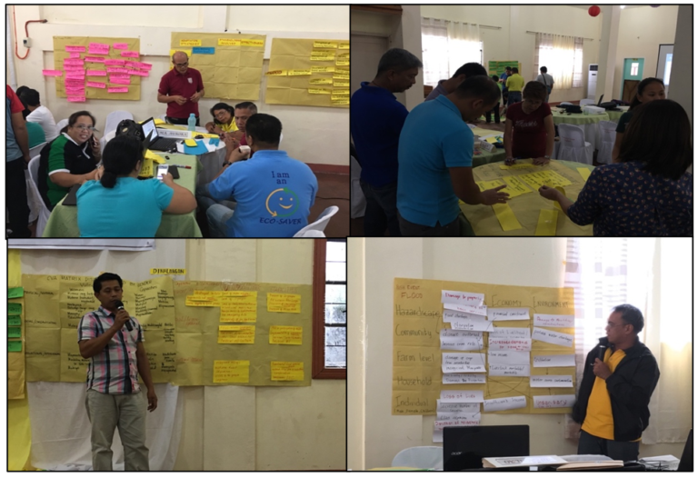 Enhancing resilience through capacity building in LCCAP formulation in ...