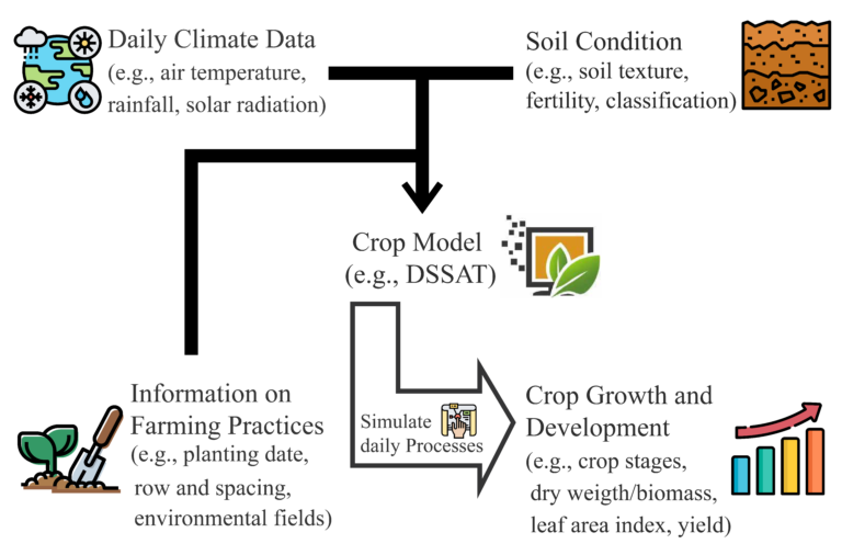 Climate smart actions “Saung Iklim” for smallholder farmers in Subang ...