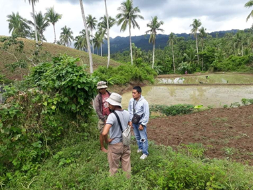 Rainwater harvesting for enhancing upland agriculture: Lessons and ...