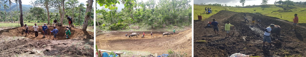 Rainwater harvesting for enhancing upland agriculture: Lessons and ...