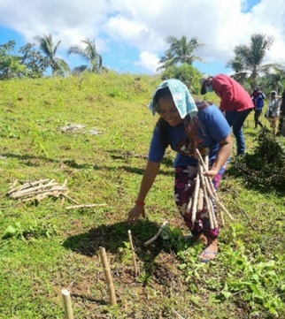 Rainwater harvesting for enhancing upland agriculture: Lessons and ...