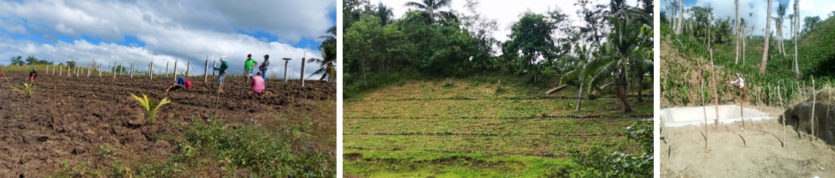 Rainwater harvesting for enhancing upland agriculture: Lessons and ...