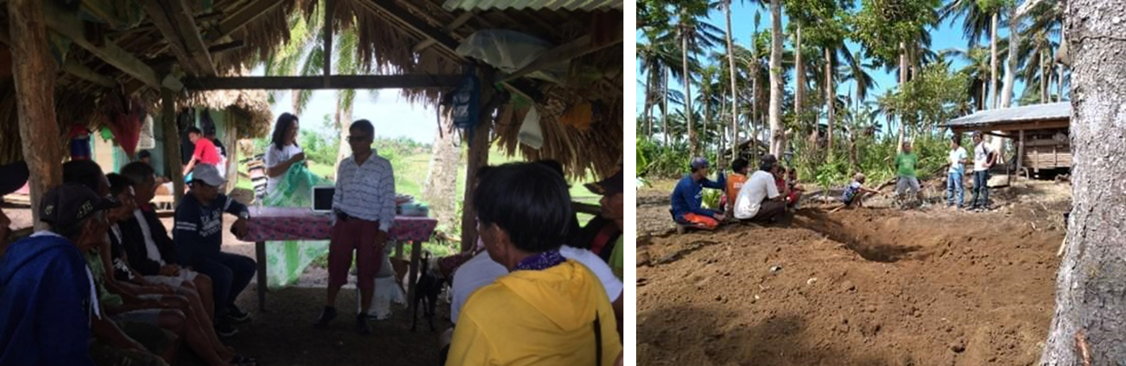 Rainwater harvesting for enhancing upland agriculture: Lessons and ...