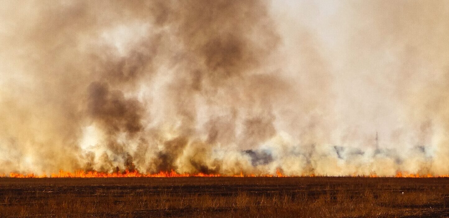 Impact of biomass burning sources during the high season on PM2.5 ...