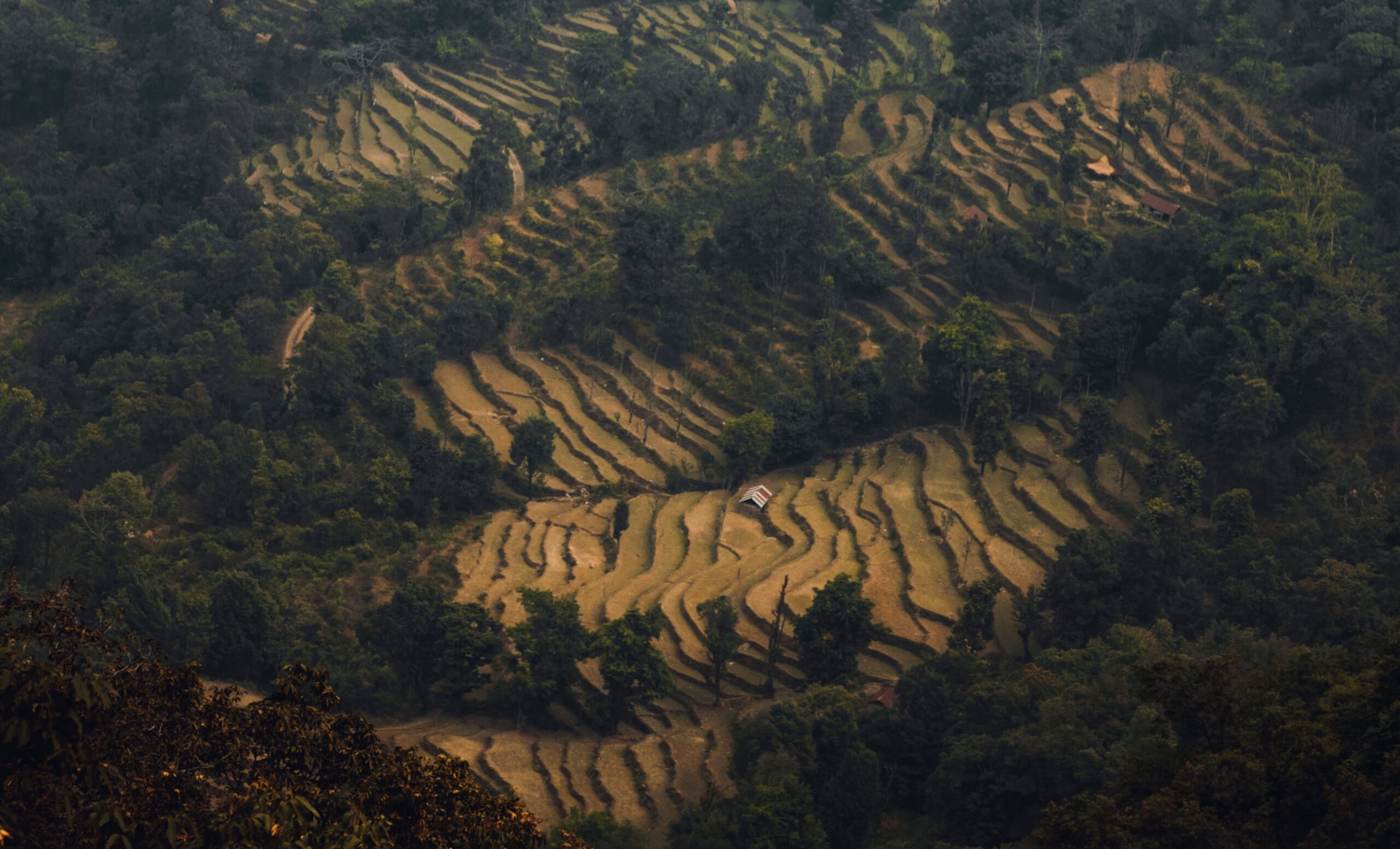 Historical Drought And Its Trend In South Asia Spatial And Temporal