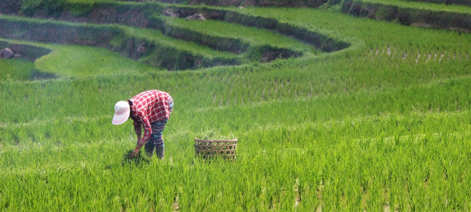 Strengthening adaptive capacity of rural farming communities in ...