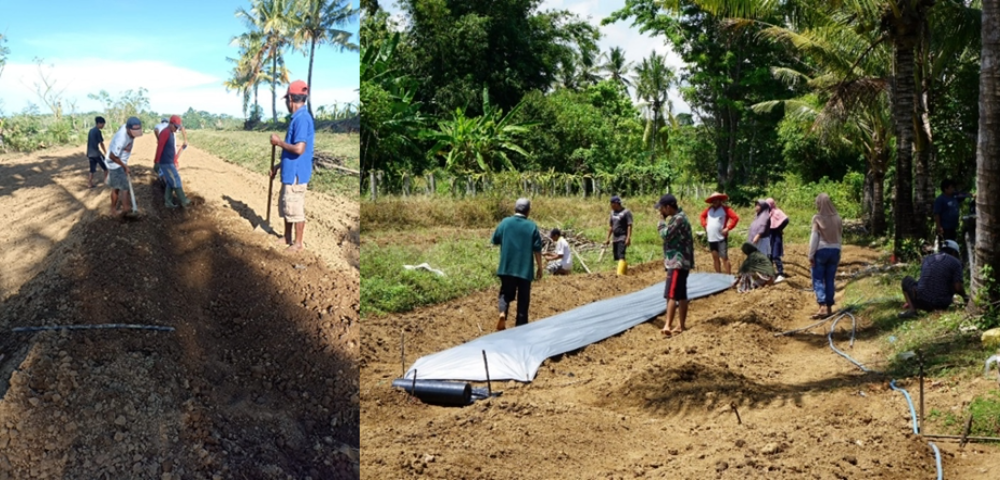 Capacity development of farmer group in using affordable micro ...