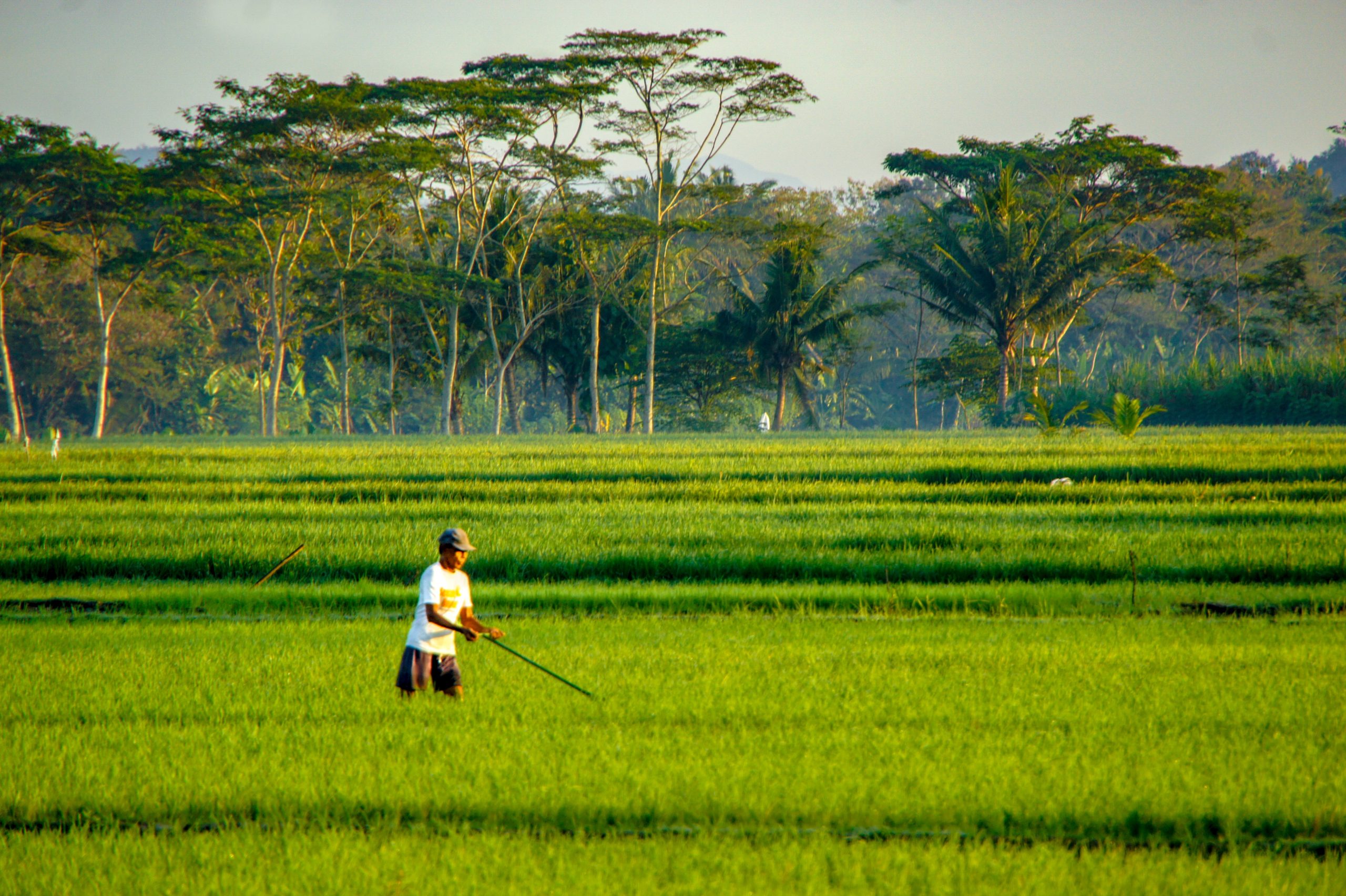 Capacity development of farmer group in using affordable micro ...