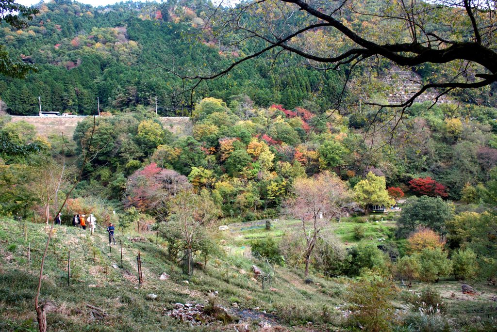 Satoyama for the Future: Passing down Satoyama Conservation Activities ...