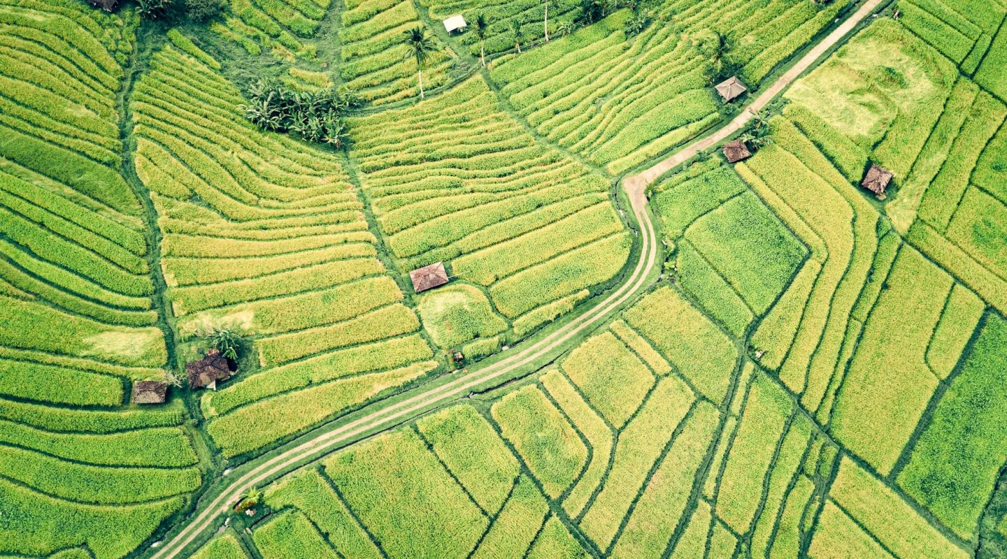 Asia-Pacific Network for Global Change Research