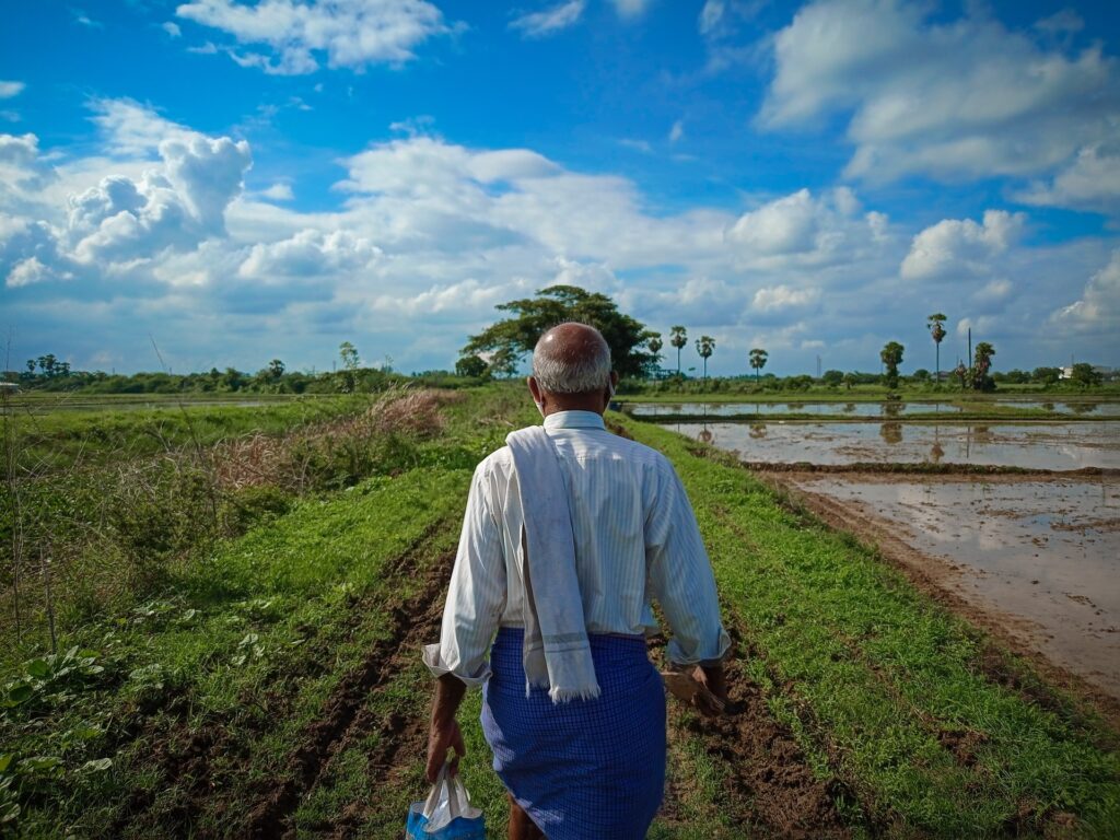Assessing the profitability of climate-smart agriculture in the Ganges ...