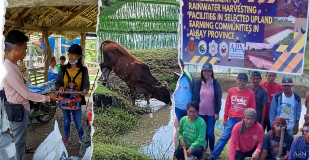 Video: Enhancing adaptive capacity of rural farming communities in ...