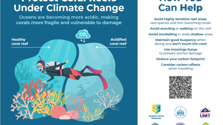 Protect coral reefs under climate change: How you can help | Asia ...