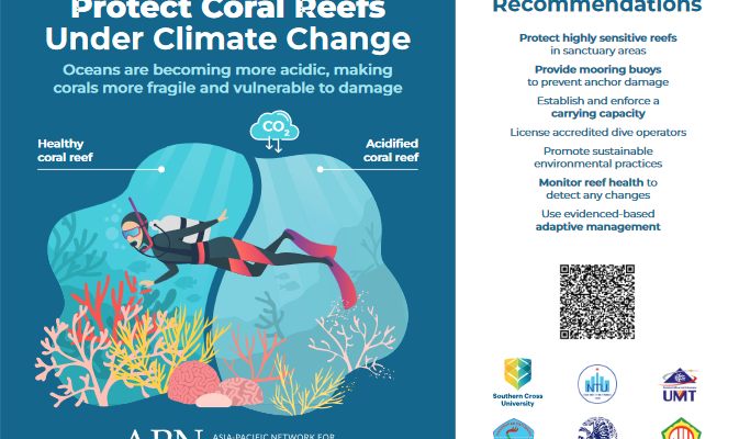 Protect coral reefs under climate change: Recommendations for Managers ...