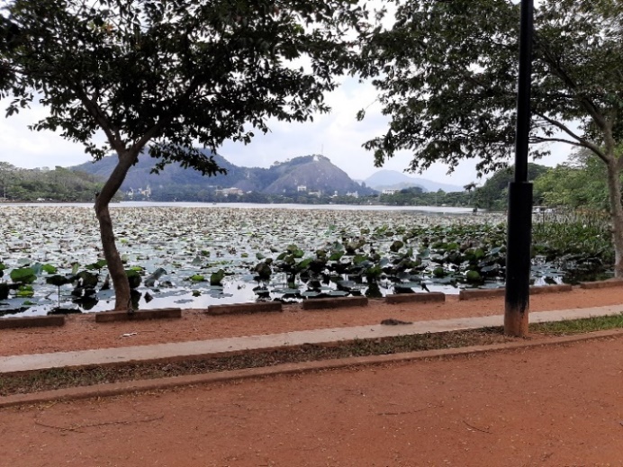 Water pollution control in Urban Lakes: An experience in coordination ...