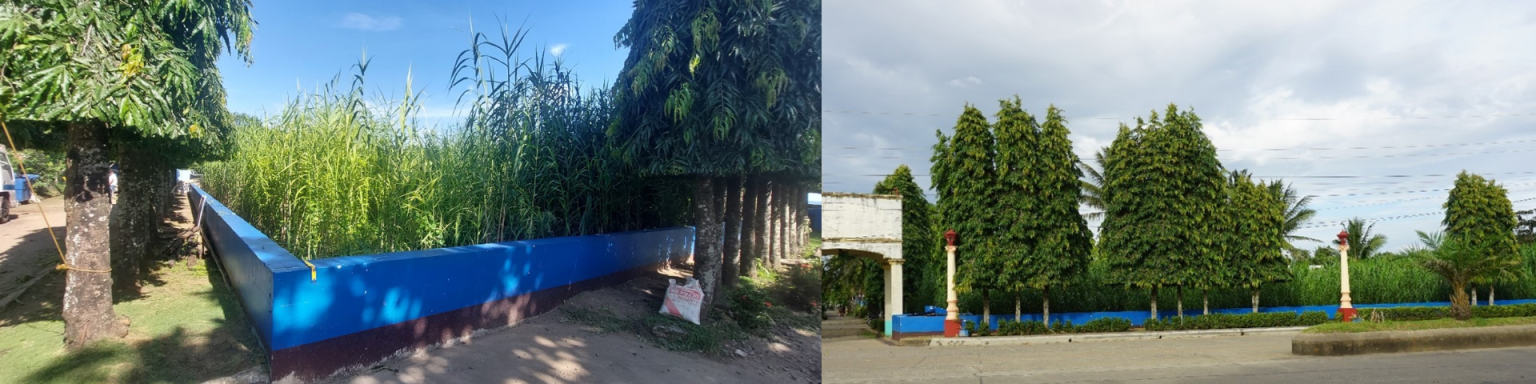 Constructed wetlands as a nature-based solution (NbS) for wastewater treatment: Social ...