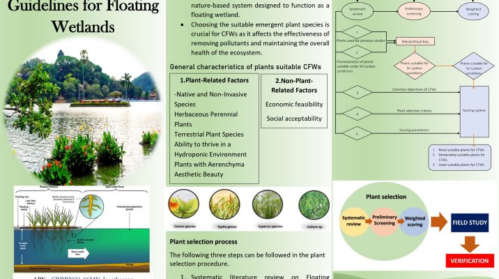 Guide for selecting plants for Constructed Floating Wetlands (CFWs) in Sri Lanka | Asia-Pacific ...
