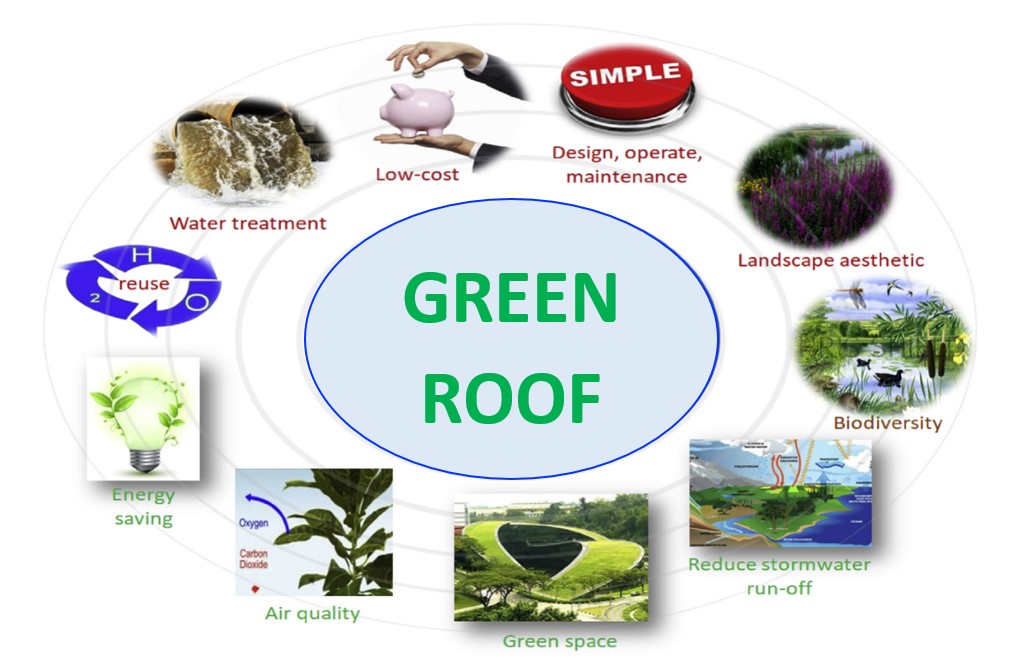 Nature-based water treatment solutions in urban areas in Vietnam ...