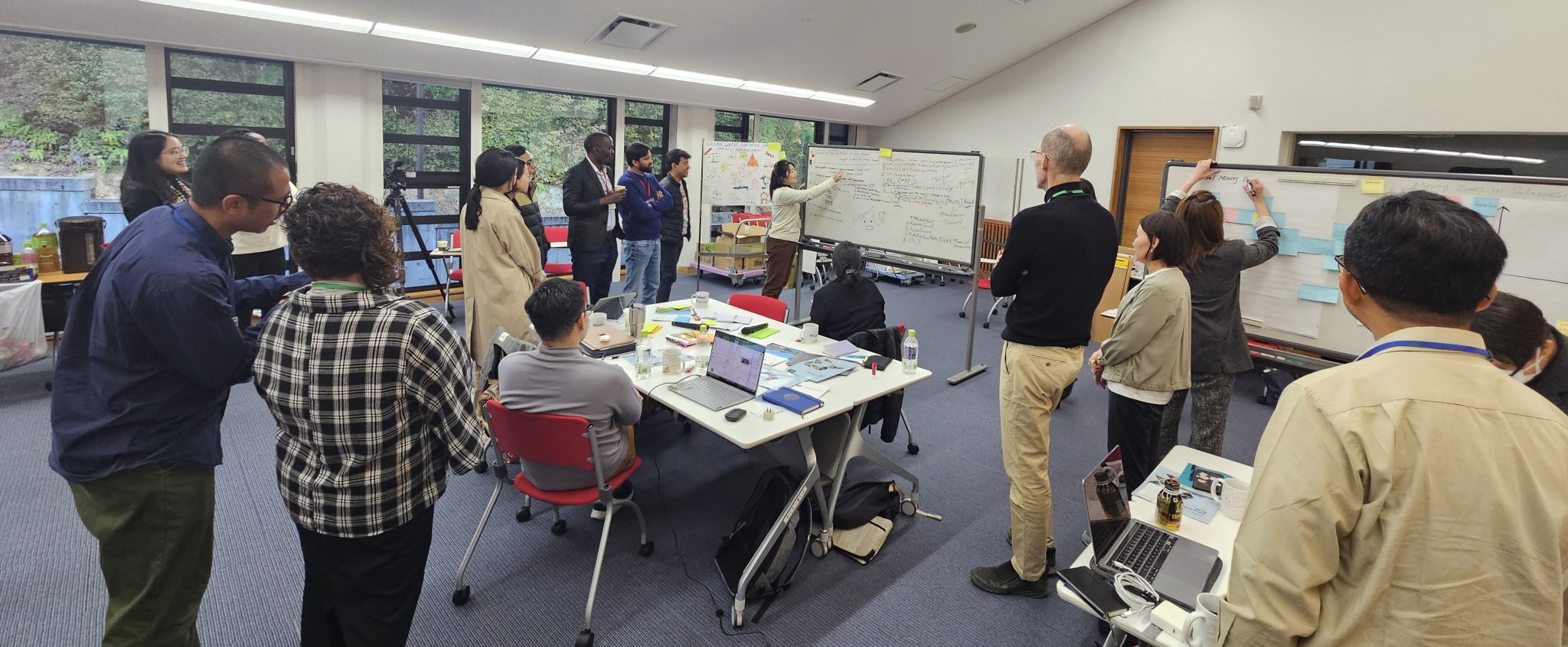 Driving early career professional capacity and opportunities in global ...