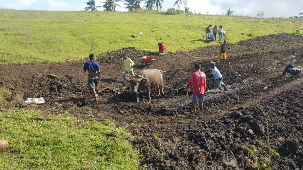 RAINWATER Project: Towards enhancing climate change adaptation of ...