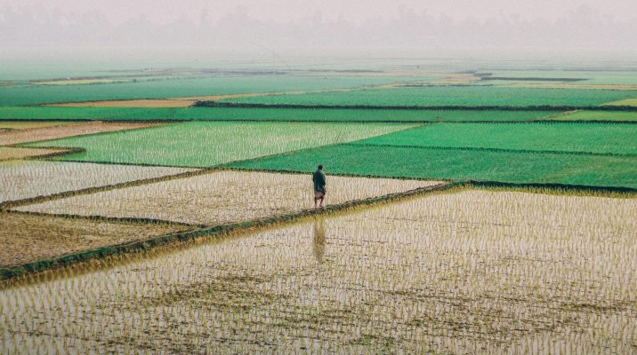 Strengthening institutional capacity and farmer adoption of protective ...