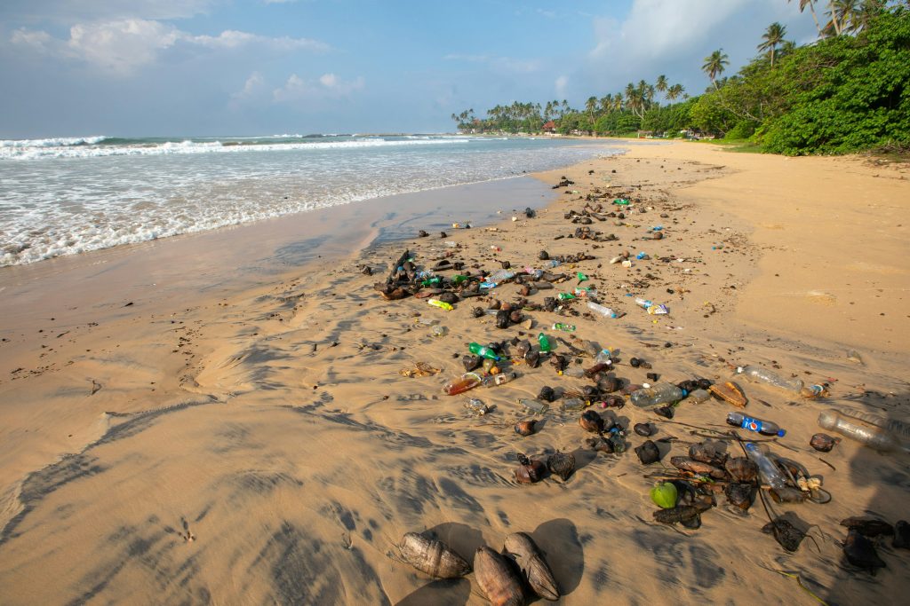 Integrated governance of microplastic pollution under climate change ...
